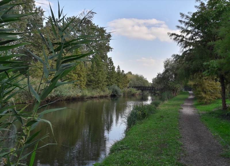 Holt-Maros - tó , horgásztó , horgászvíz részletes adatai