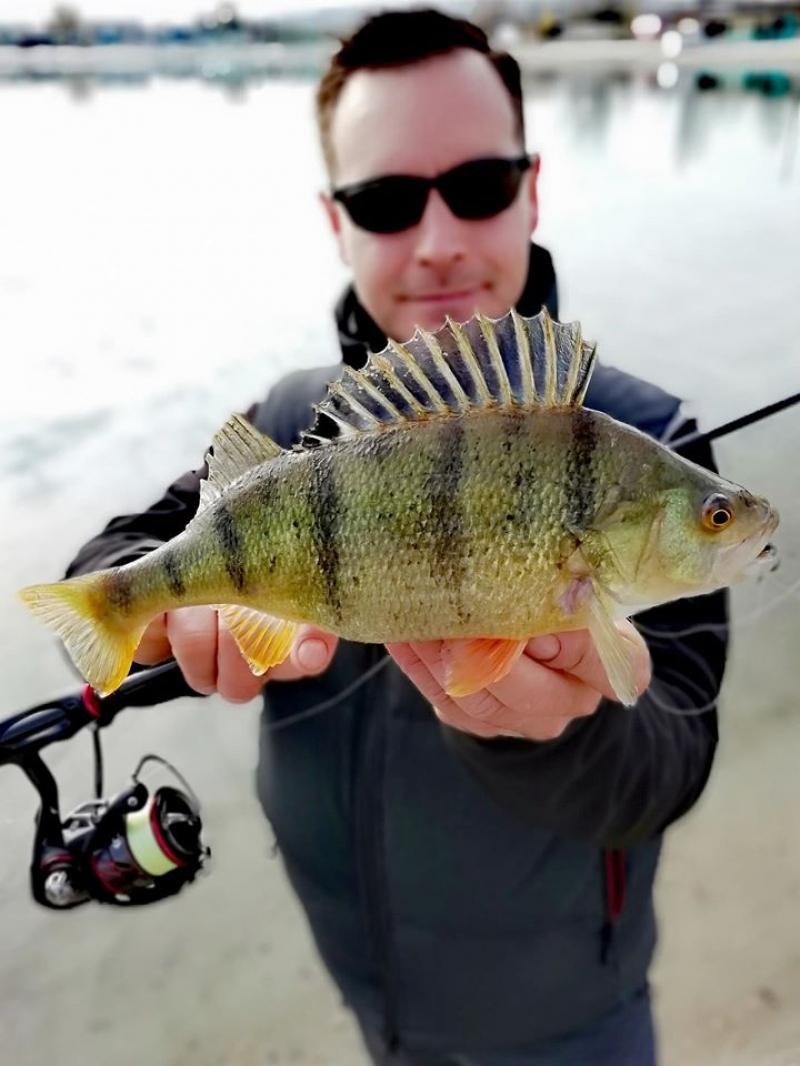 Lupa Fishing - tó , horgásztó , horgászvíz részletes adatai