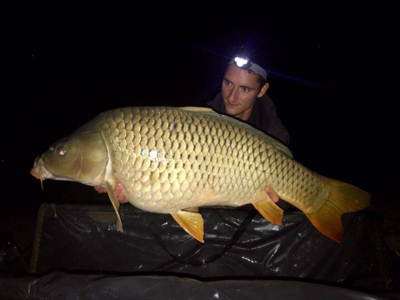 Lupa Fishing - tó , horgásztó , horgászvíz részletes adatai
