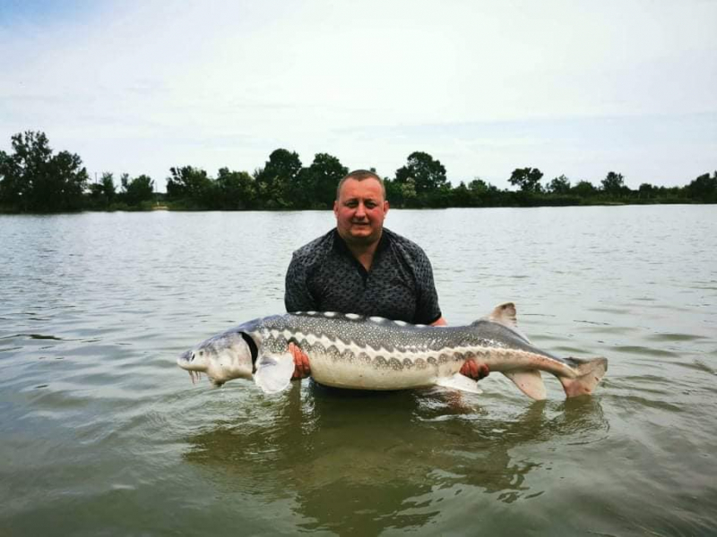 S Big Fish Lake - tó , horgásztó , horgászvíz részletes adatai
